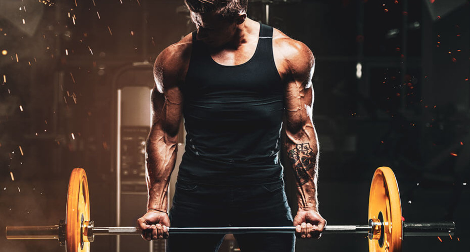 6 exercices biceps pour prendre des bras rapidement : programme biceps