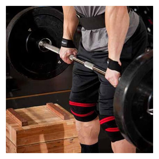 BANDE DE GENOUX PRO RED LINE Harbinger