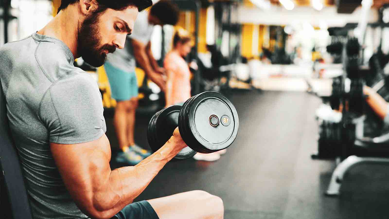 Programme de musculation pour cibler et développer les biceps